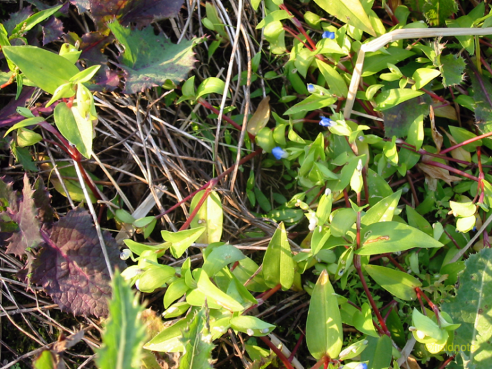 fnote_031008IMG_0053 | 考える野帖