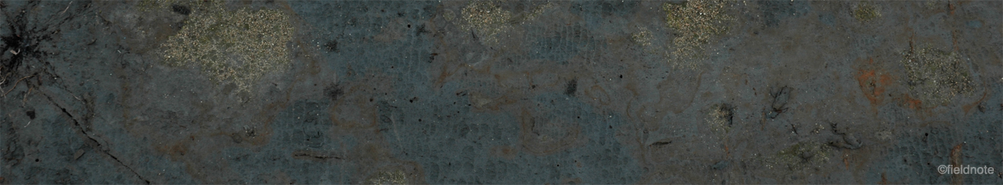 fnote_soil4 | 考える野帖